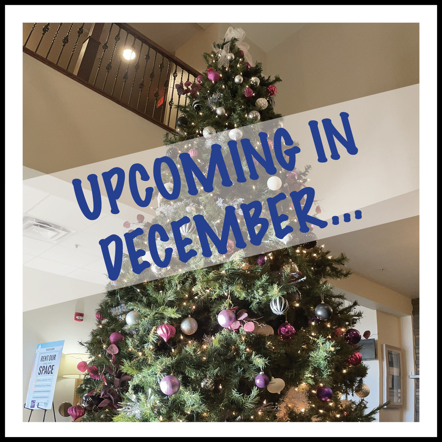 November Statement Stuffer - River Country CO-OP